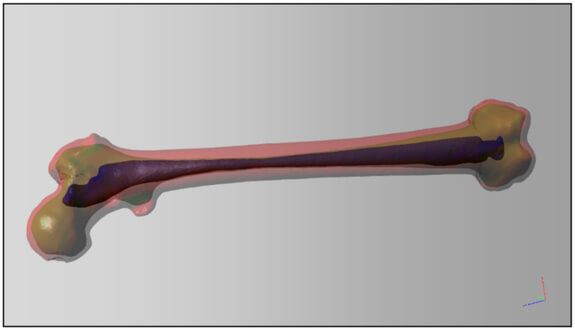 Semantic segmentation: Complete guide [Updated 2024] | SuperAnnotate